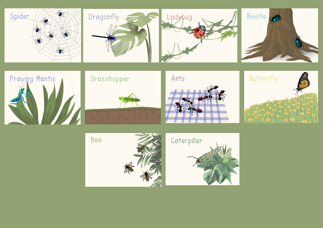 Bugs Play Dough Mat for Kids - Etsy