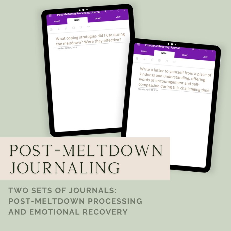 Autistic Meltdown Log Onenote Template & Digital Journal Mental Health ...