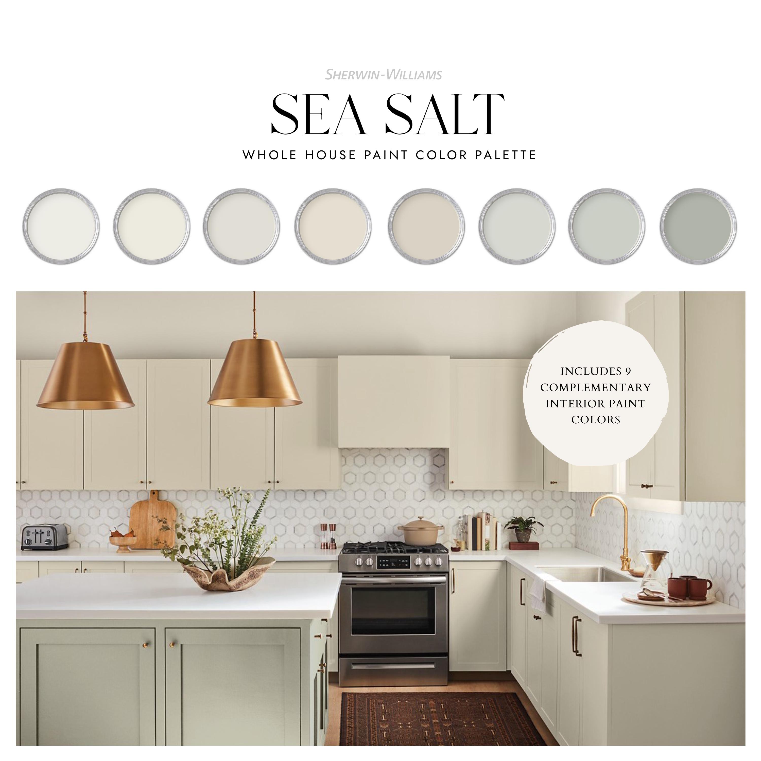 Sea Salt Whole House Paint Color Palette | Interior Paint Colors ...