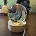 Cat Lazer Engraved Sphere With Light Changing Stand - Etsy