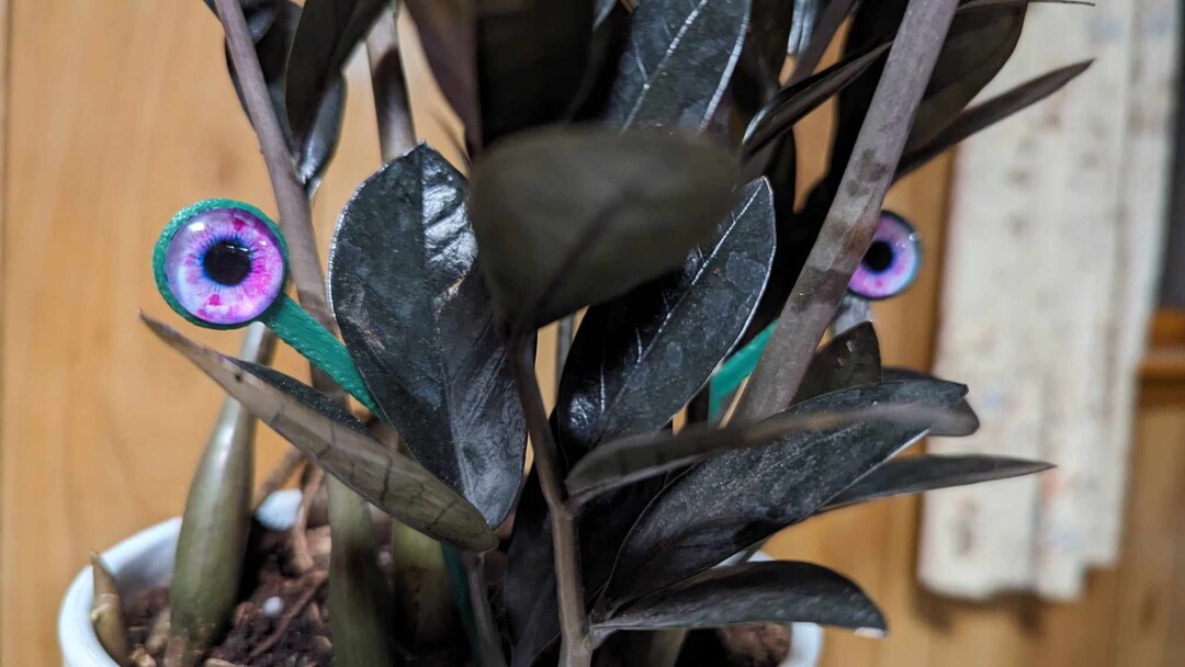Sprouted Sentience: 3D Printed Eyestalks for Your Plant People - Etsy