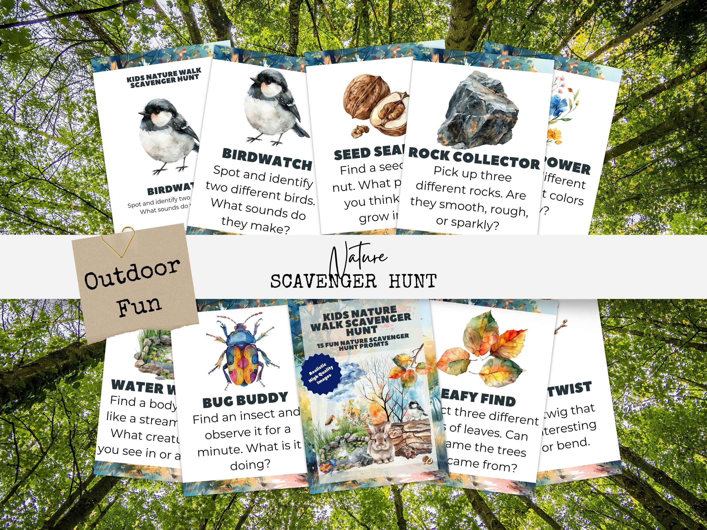 Homeschool Nature Walk Outdoor Printable Scavenger Hunt, Summer ...