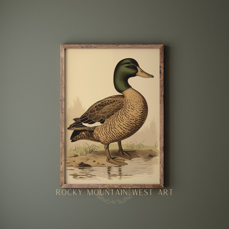 Duck Wall Art - Etsy