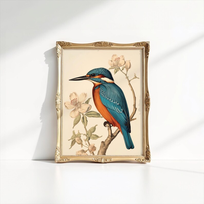 Lámina vintage de martín pescador / Arte mural estilo cottagecore ...
