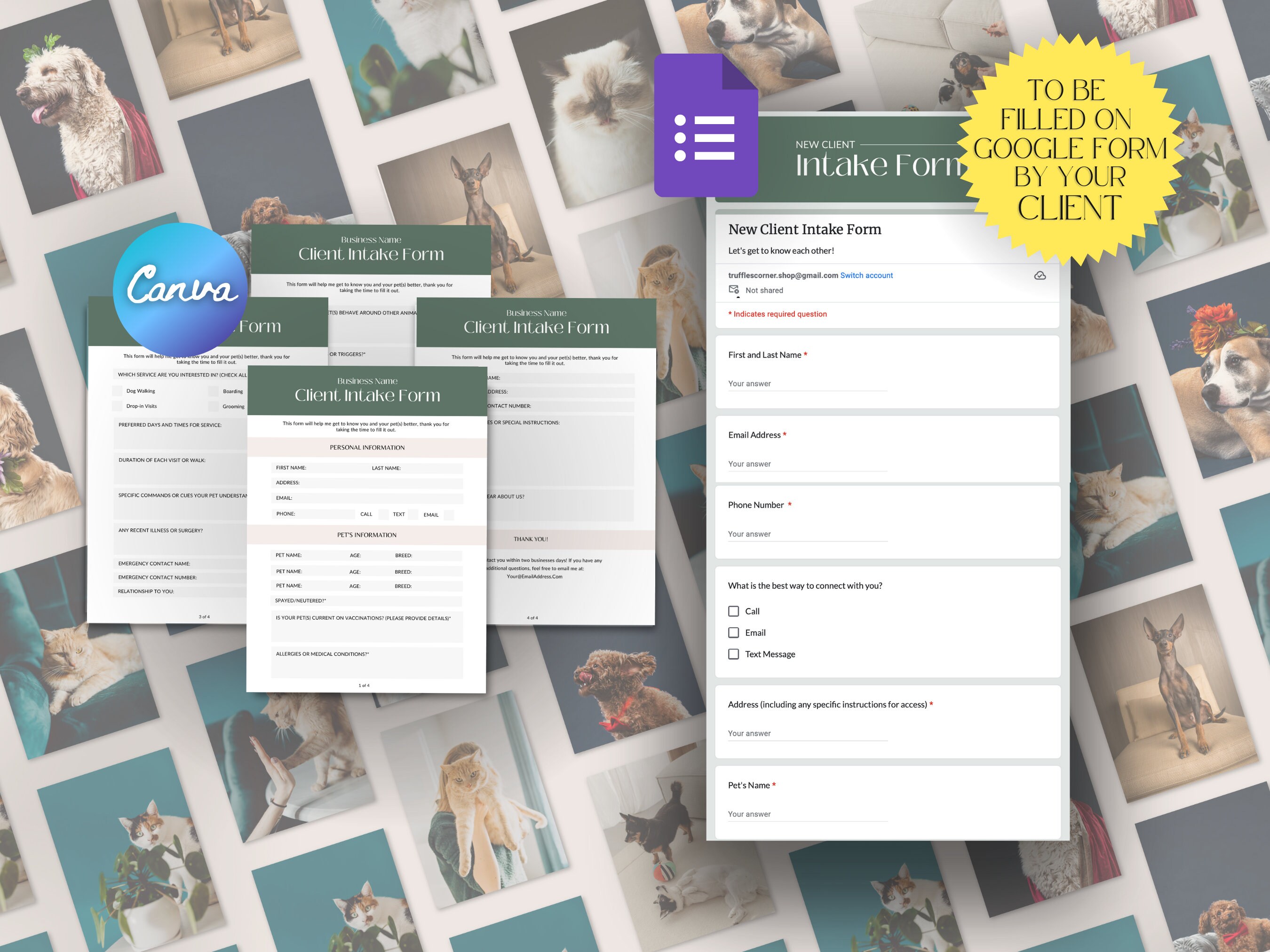 Client Intake Form for Dog Walkers (two Different Versions) | Google ...