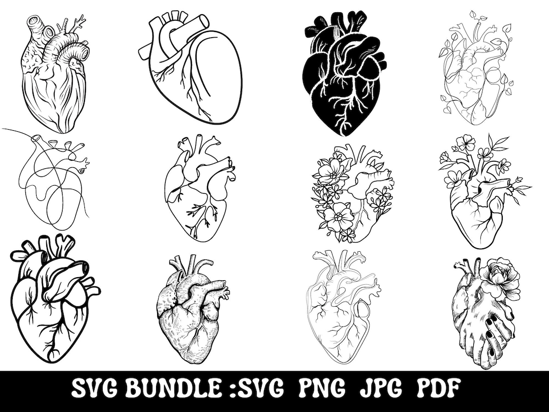 Paquete de svg de corazón anatómico, svg de corazón de flores, vida de ...