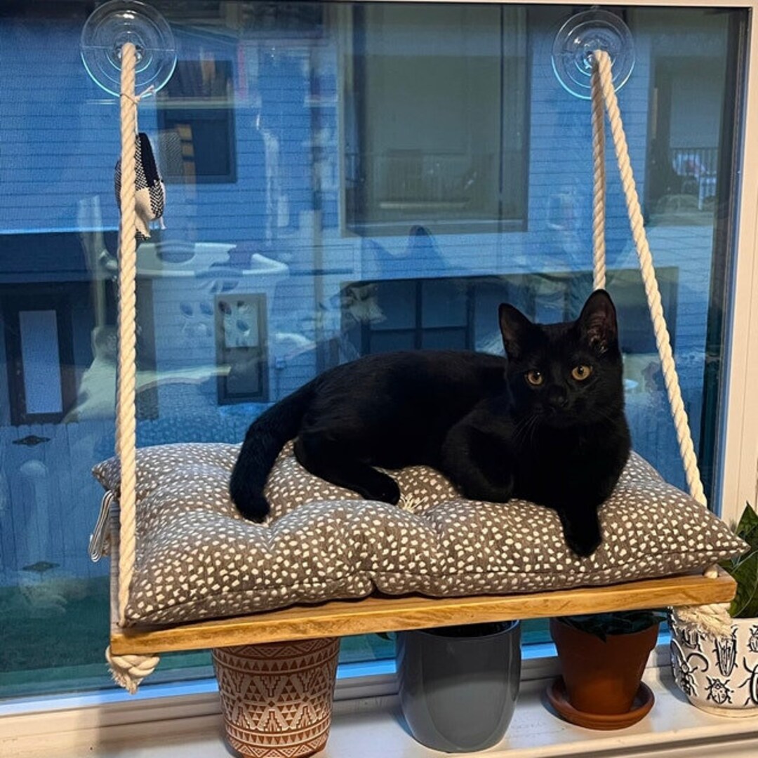 Handcrafted Cat Window Perch With Plush Bed Cat Window Perch, Cat ...