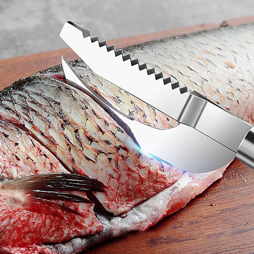 Fish Scale Planer Peeler Stainless Fish Scaler Fish Cleaning Tool Fish ...