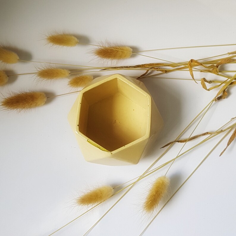 Flower Pot - Geometric - Etsy