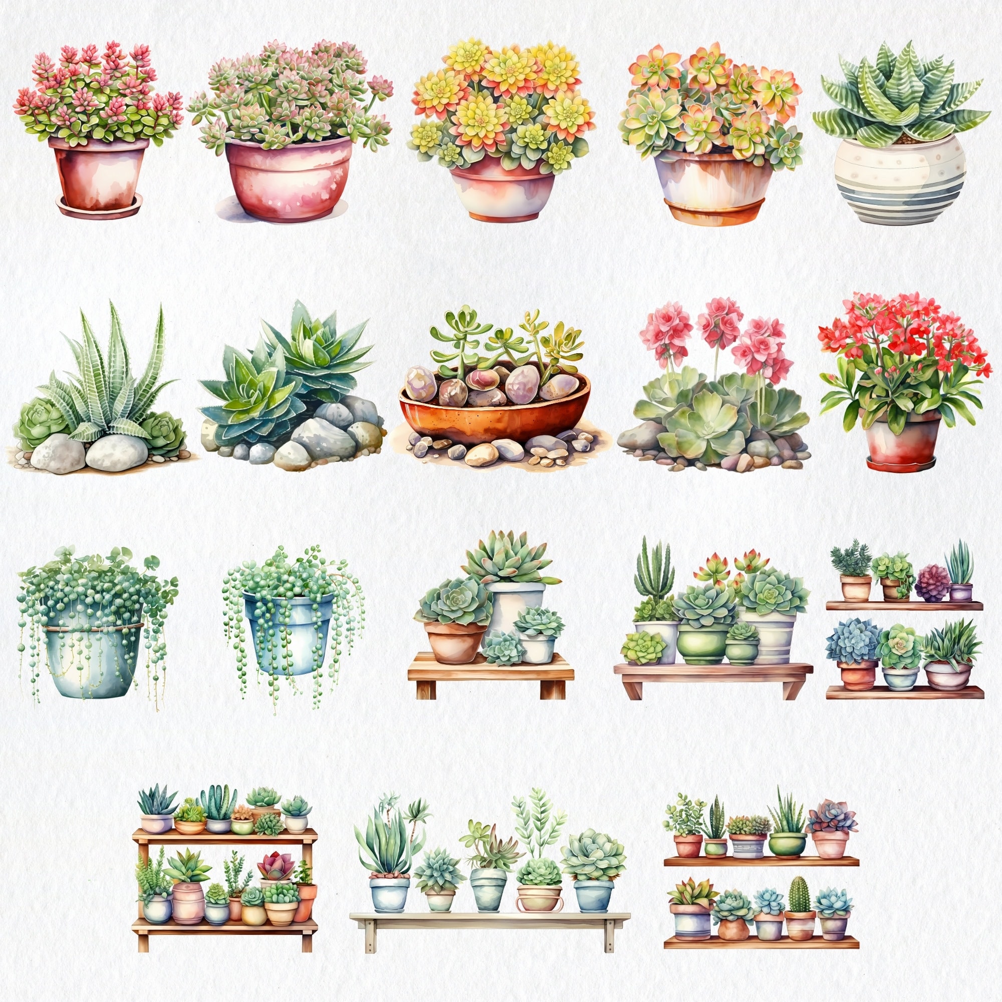 Watercolor Succulents Clipart , Succulents in Pots , House Plants ...