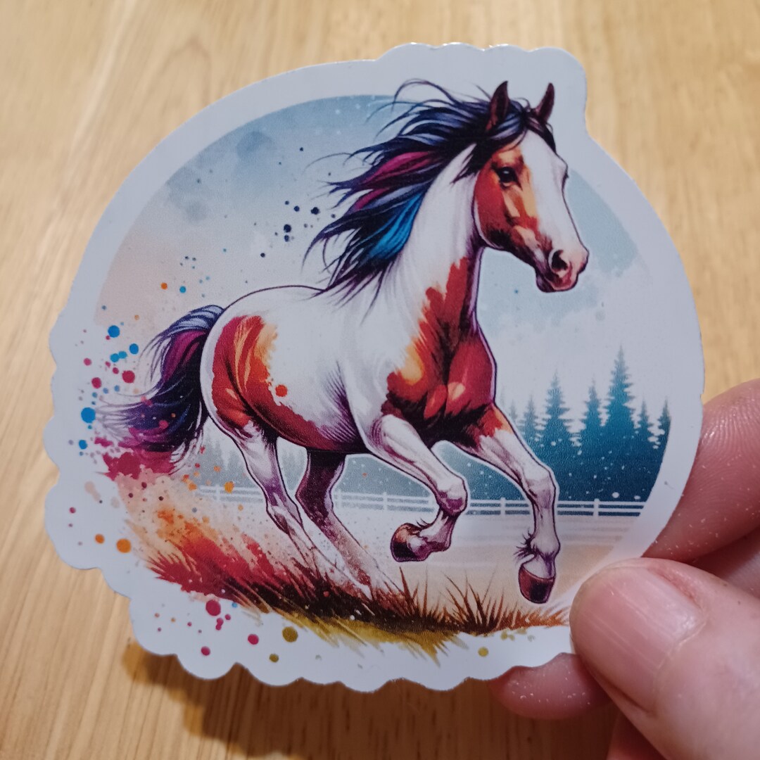 Pinto Galloping in a Field - Horse - Vinyl Sticker / Decal - Cute ...