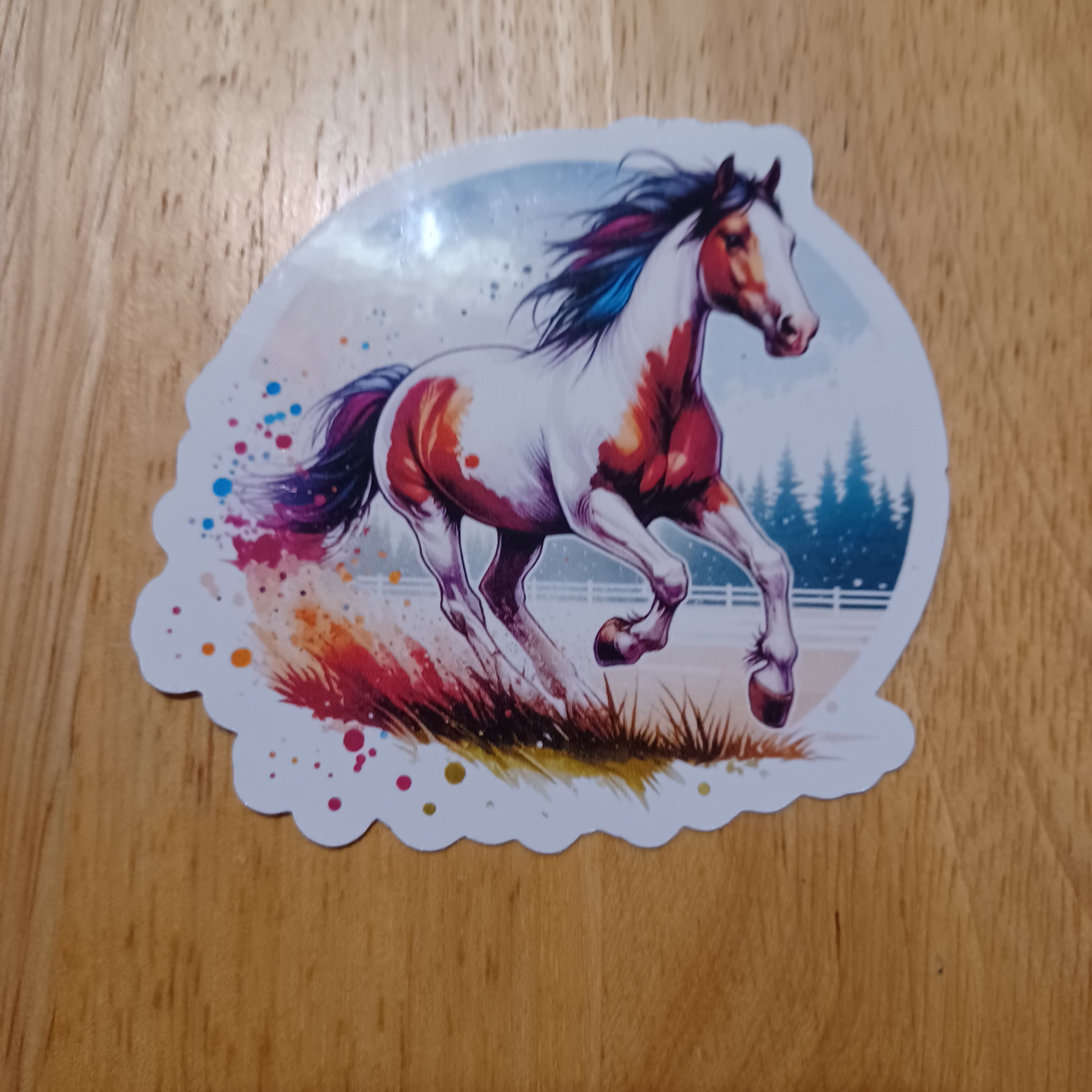 Pinto Galloping in a Field - Horse - Vinyl Sticker / Decal - Cute ...