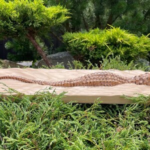 Wood Carved Picture, Wooden Crocodile, Wooden Animal Art, 3D Wall Decor ...