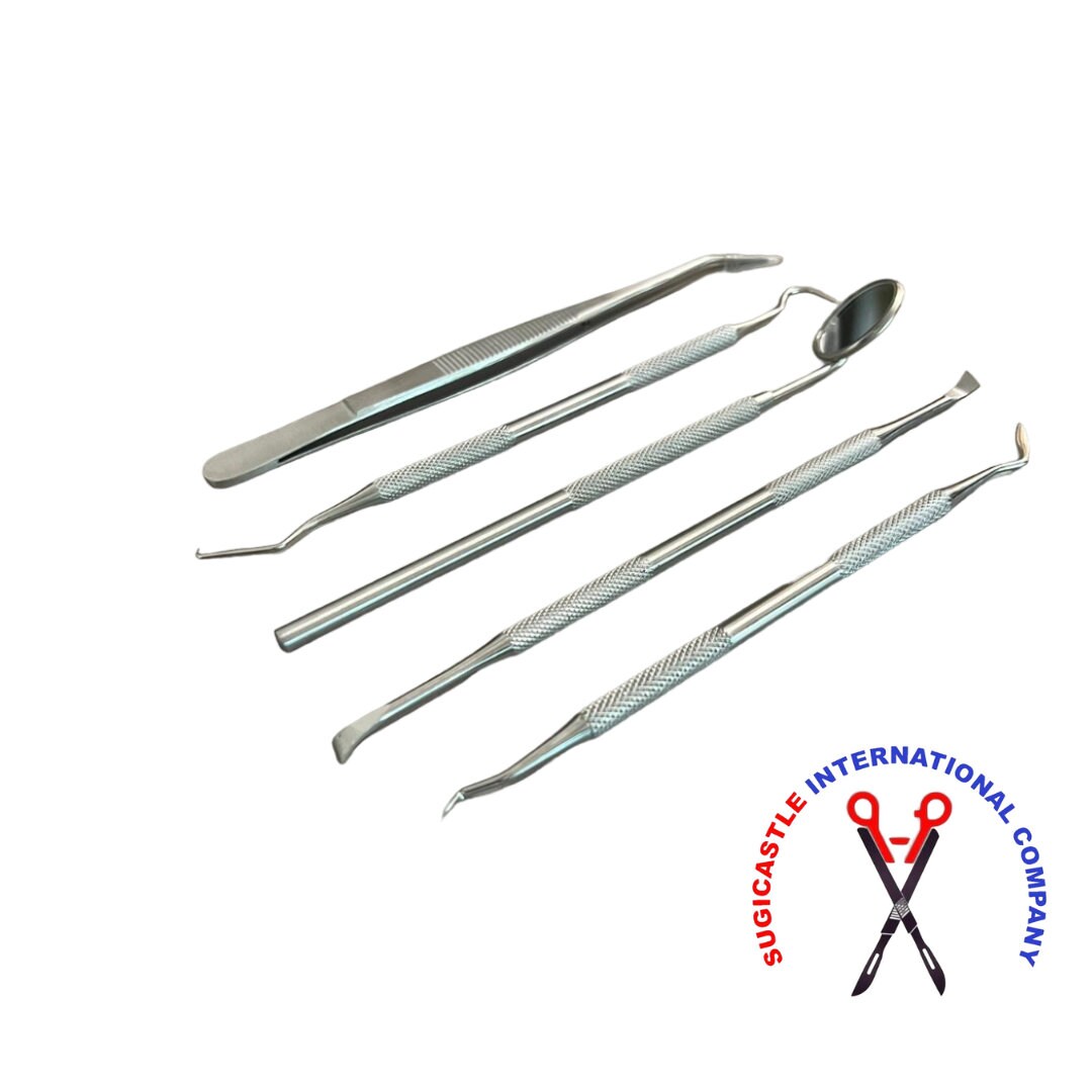 Professional 5-in-1 Dental Tools Kit, Essential Instruments for ...