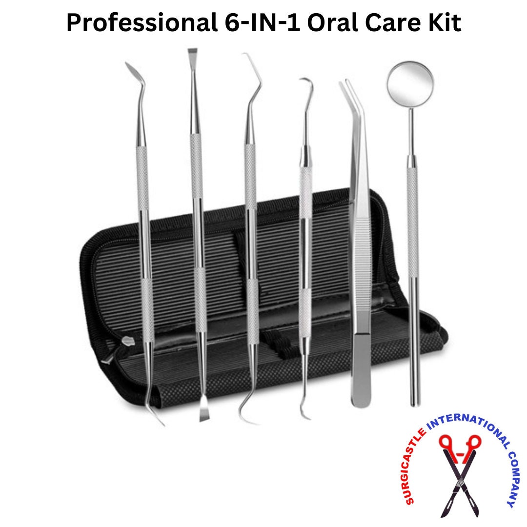 6pcs Stainless Dental Tools Set Kit Dentist Teeth Clean Hygiene Mirror ...