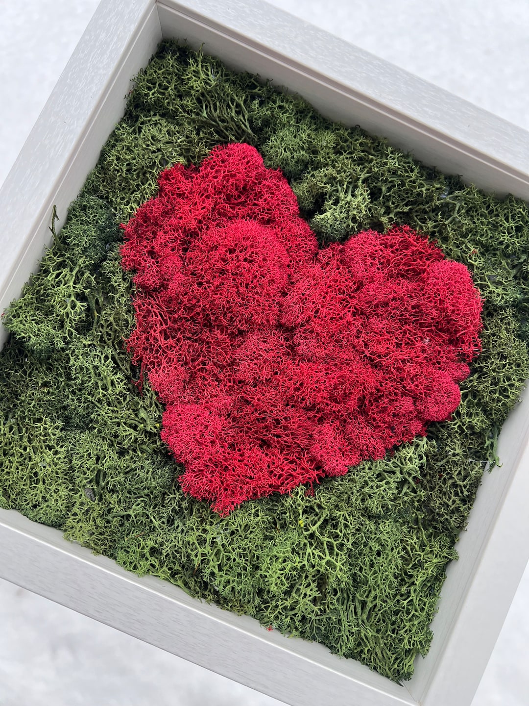 Moss Wall Art | Preserved Moss | Moss Art | Red Heart | Moss Wall Art ...