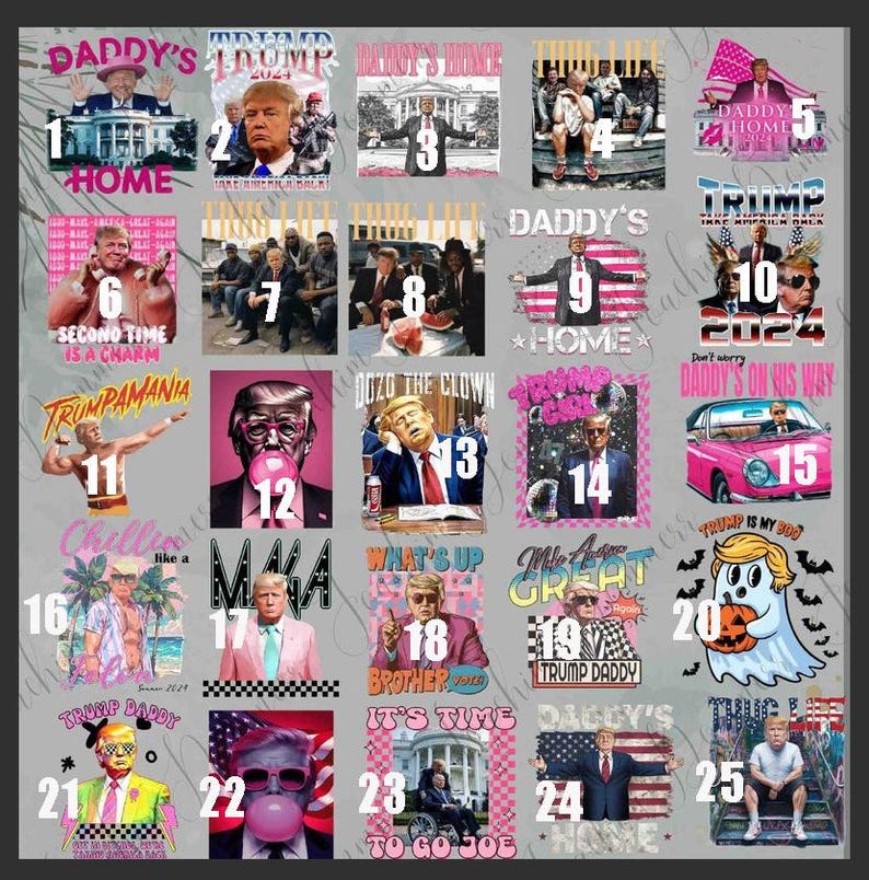 Pink Donald Trump President, Trump 2024 MAGA, Chillin Like a Felon ...