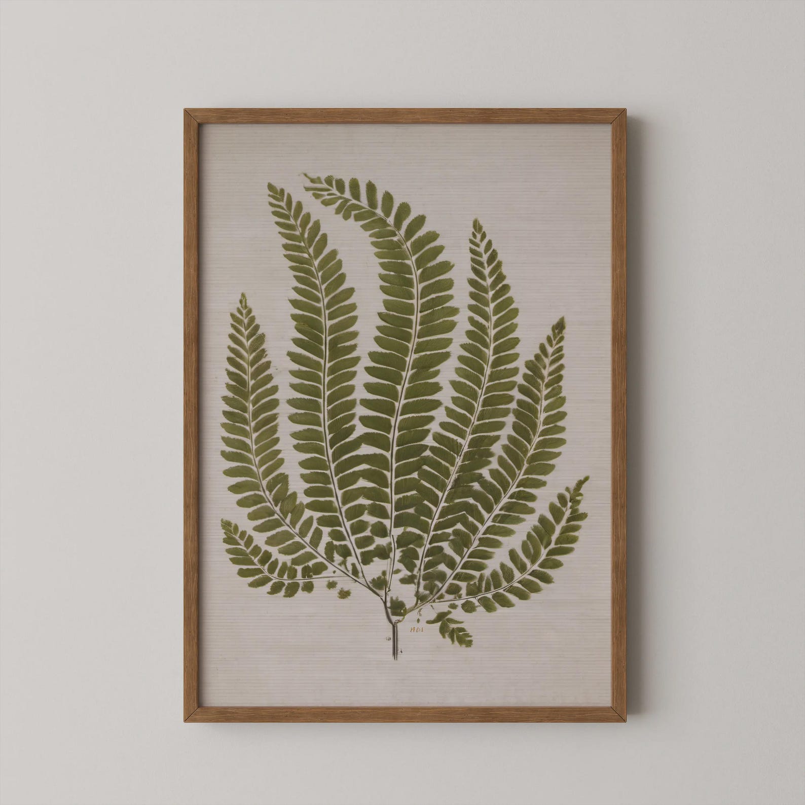 Vintage Fern Print | Dark Green Botanical Wall Art | French Country ...