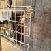 Large White Wire Wall Grid With Metal Book Shelf, Polaroid Display ...