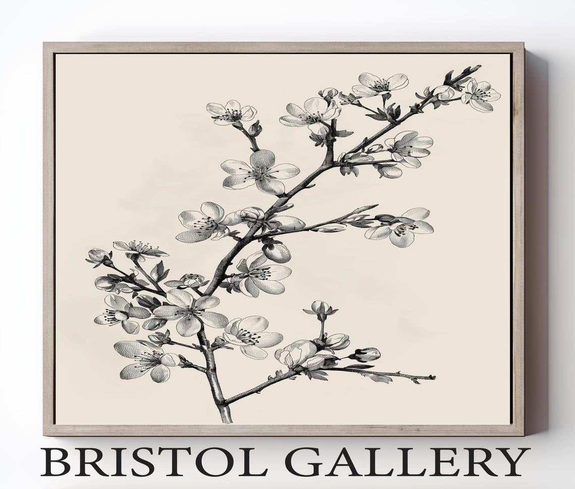 Pencil Drawing of Apple Tree Branch Rendered in Grey Tones on White ...