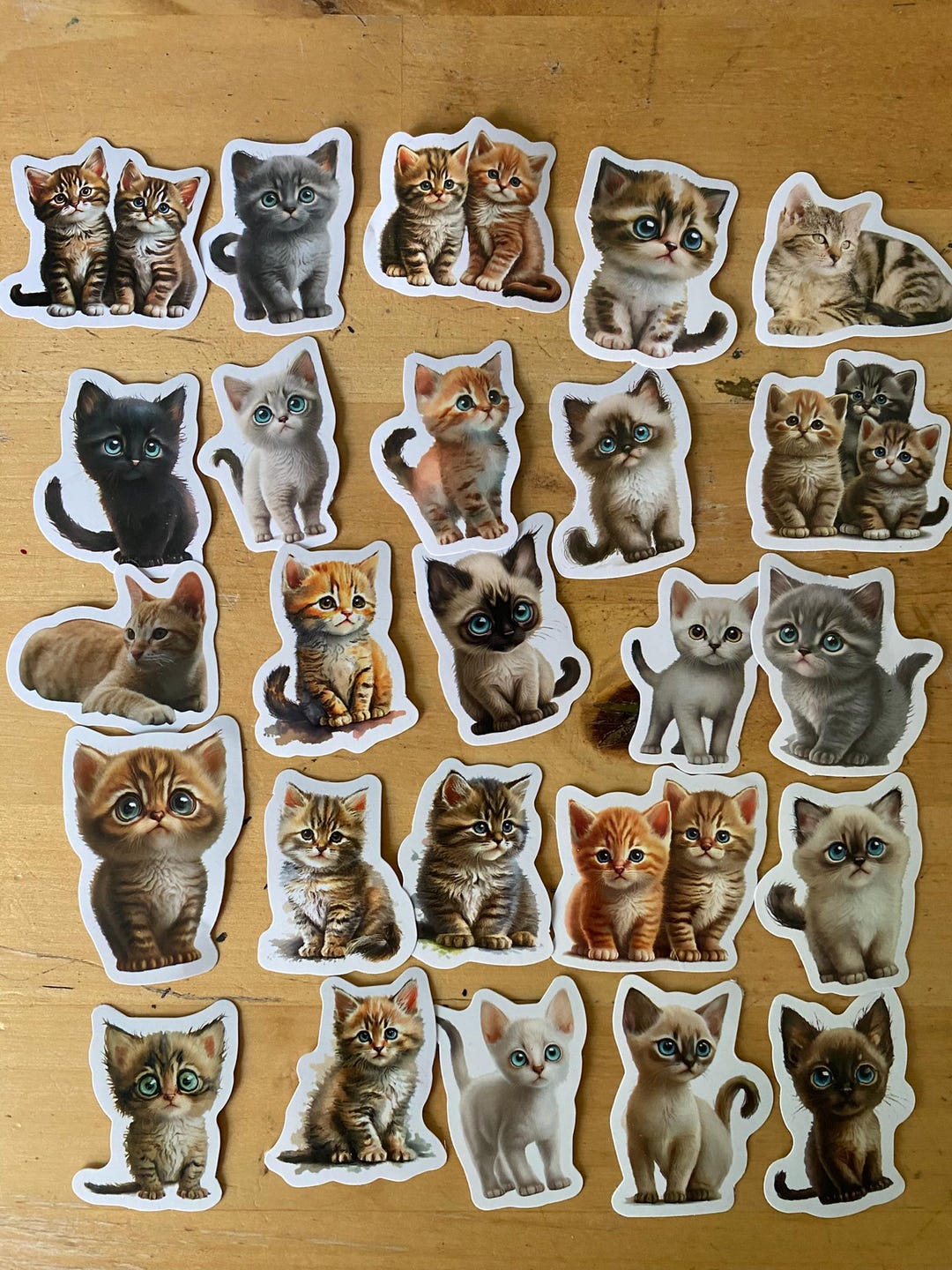 25 Cat Stickers – Perfect for Fans of Cats and Kittens, Meme, Funny - Etsy