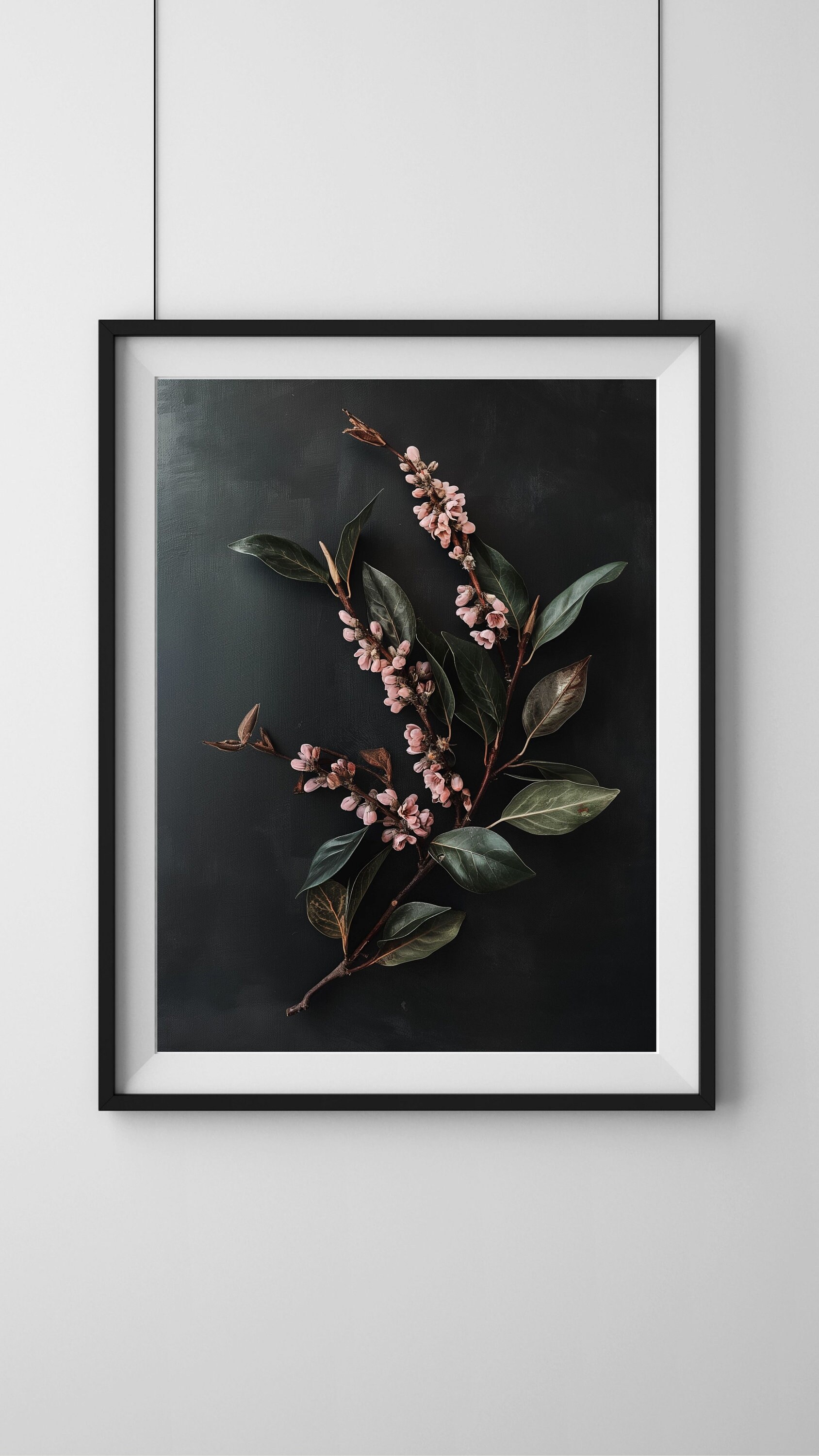 Laurel Branch Dark Green Background , Minimalist Botanical Daphne ...