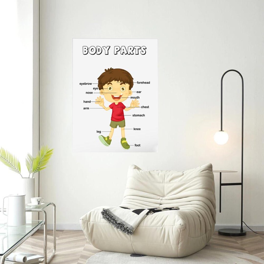 Body Parts Diagram (boy) Poster No Framed - Etsy
