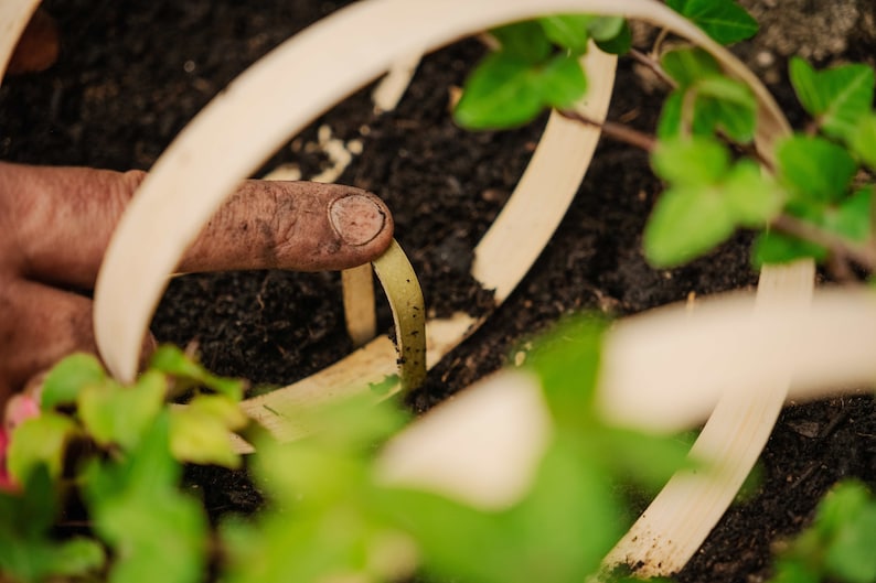 3 Units Cat-repellent: Protect Your Flowerbeds and Veggie Patches From ...