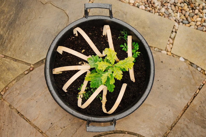 3 Units Cat-repellent: Protect Your Flowerbeds and Veggie Patches From ...