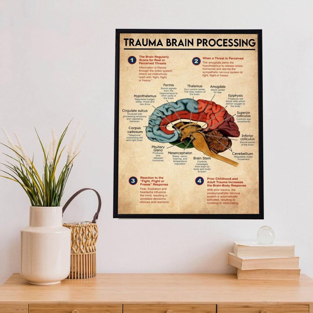 Trauma Brain Processing Poster, Mental Health Poster, Brain Anatomy ...