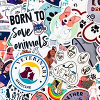 Veterinary Stickers, Laminated Stickers, for Animal Lovers Gift, for ...