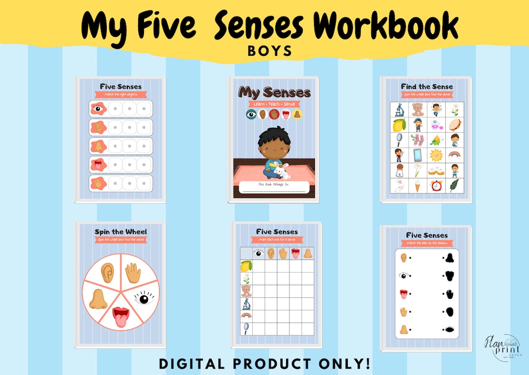 My Five Senses Learn About Senses Educational Boy Dark 67 Pg Workbook ...