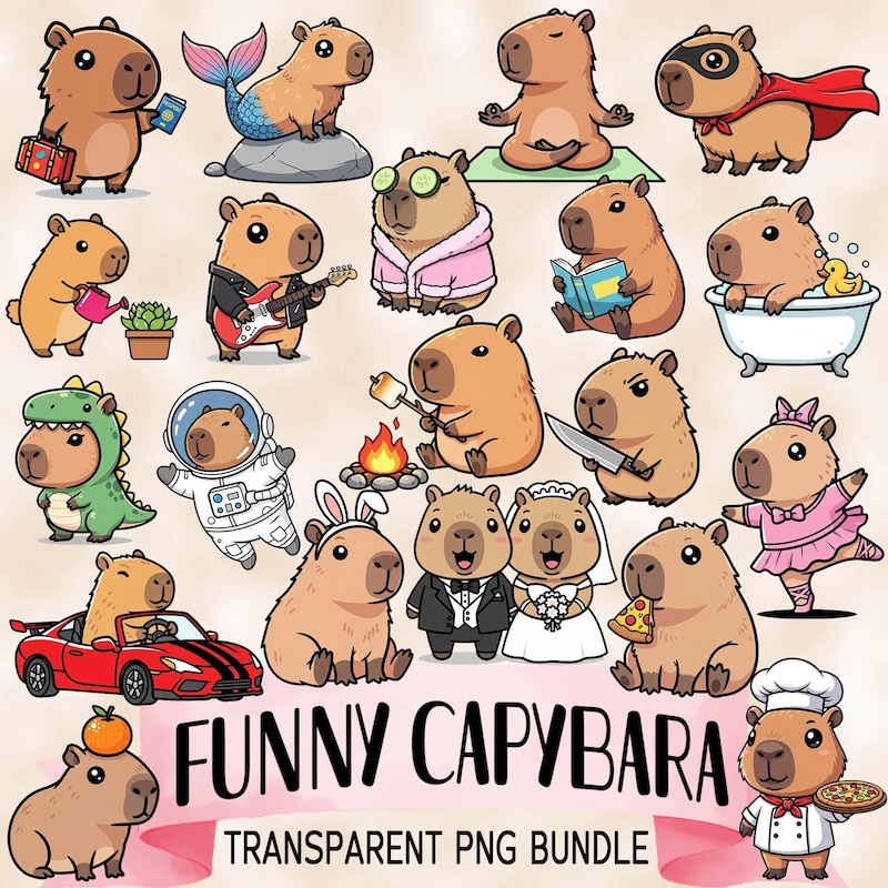 Cute Capybara Stickers - Etsy
