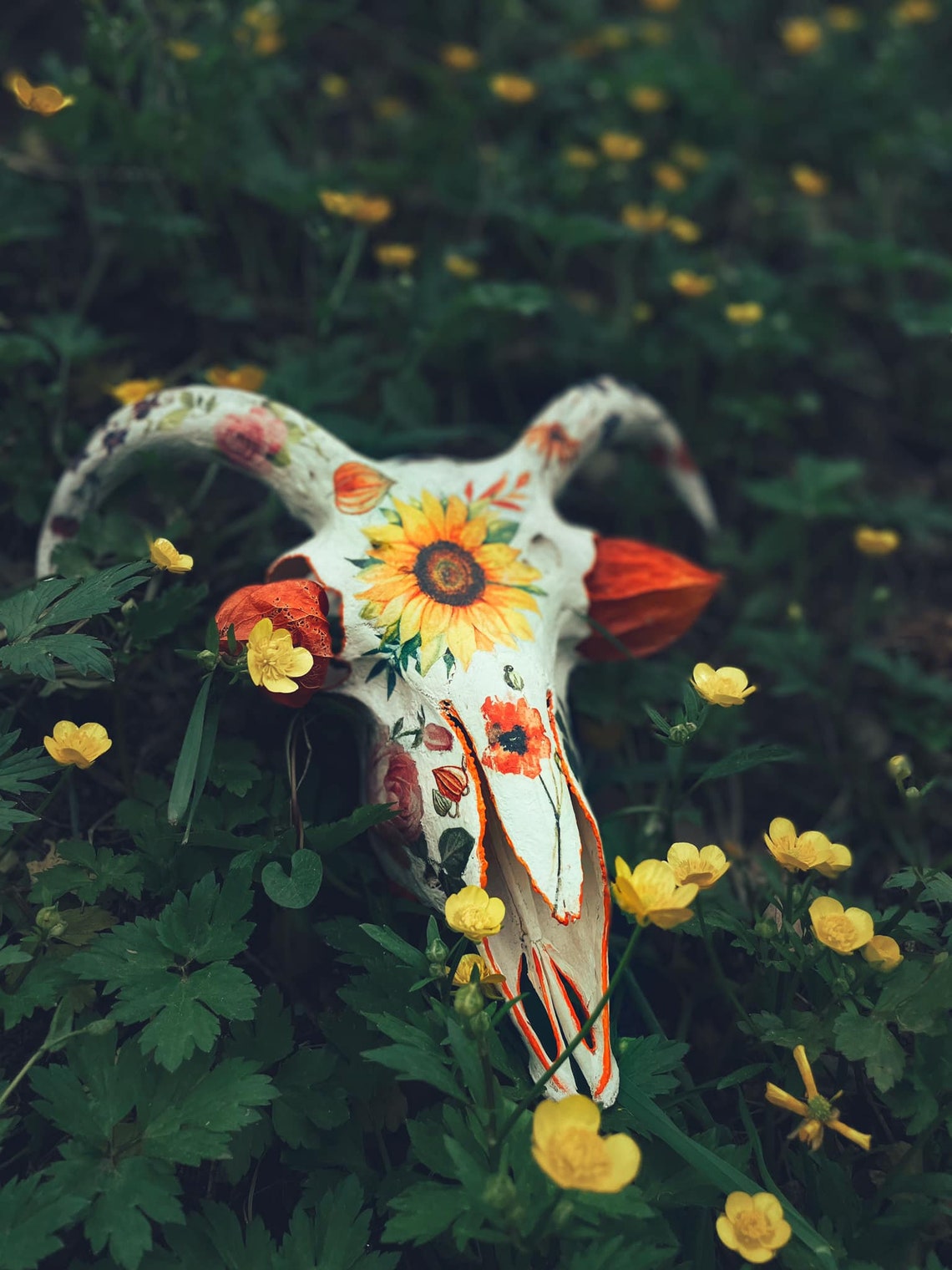Real Goat Skull With Flowers - Etsy
