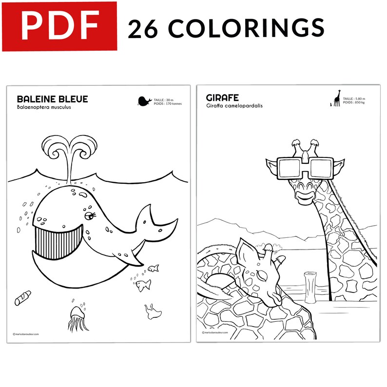 Coloring Book - A4 - Etsy