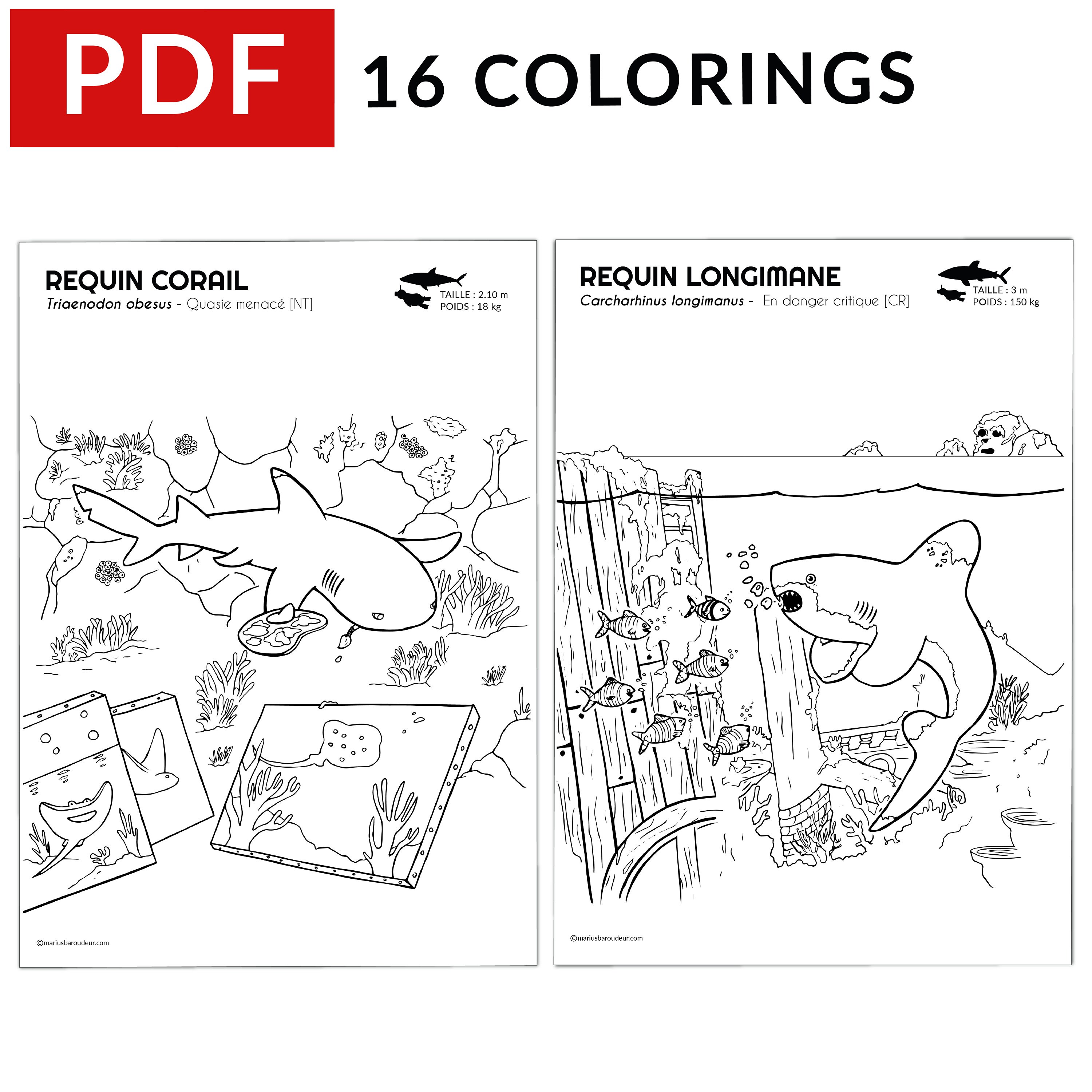 Coloring Book - A4 - Sharks & Rays - Etsy
