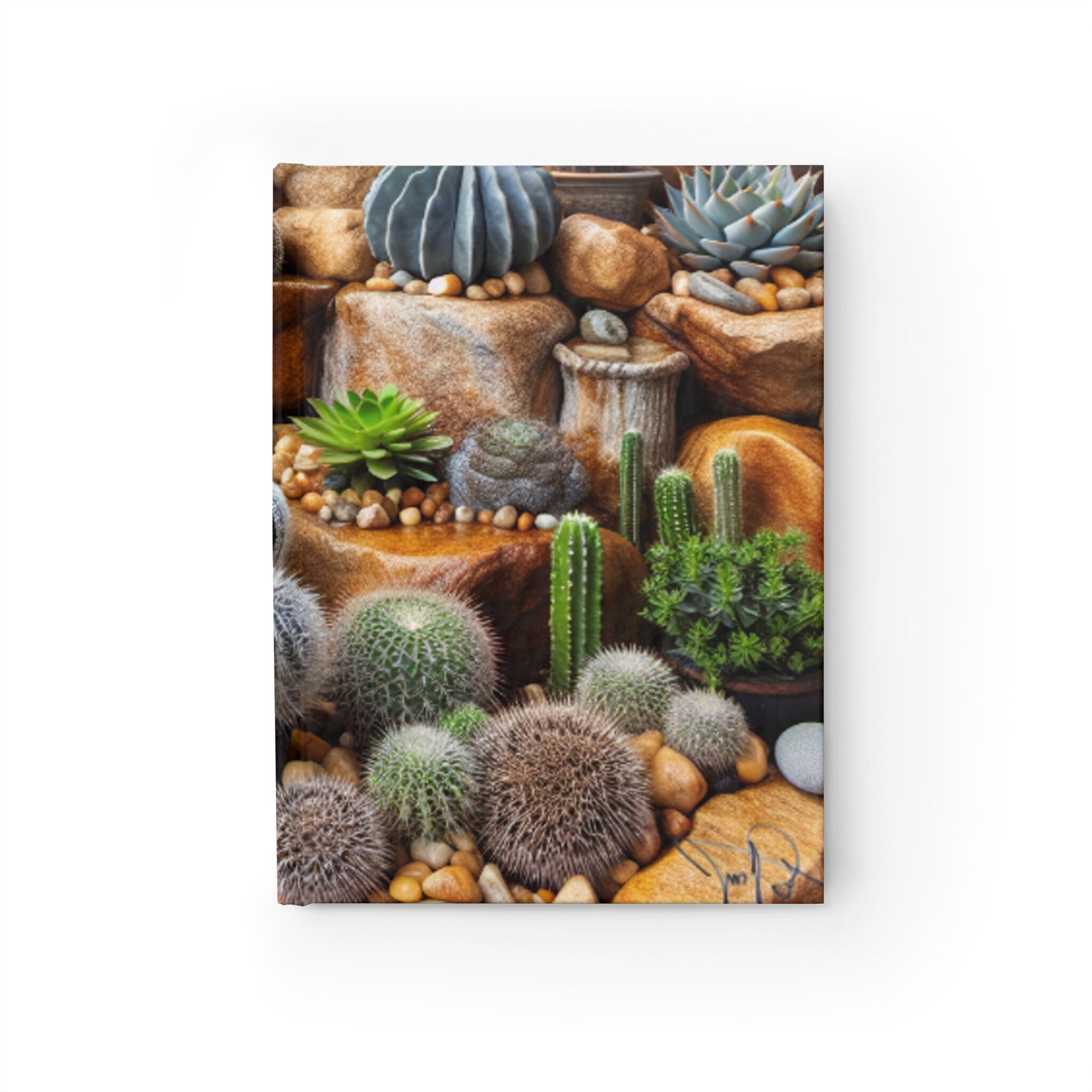 God's Creation Rock Garden With Succulents, Cacti, and Hedgehogs ...