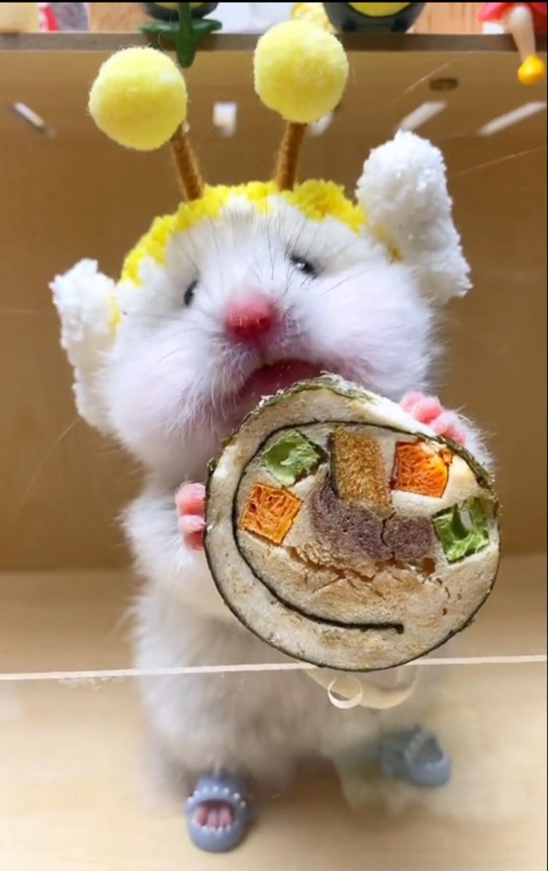 Mini Hamster Shoes, Cute Shark Slippers, Cosplay Clothing, Costume Pet ...