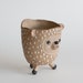 Bear Plant Pot,pottery,cactus Pot,cute Bear Pot,animal Plant Pot ...