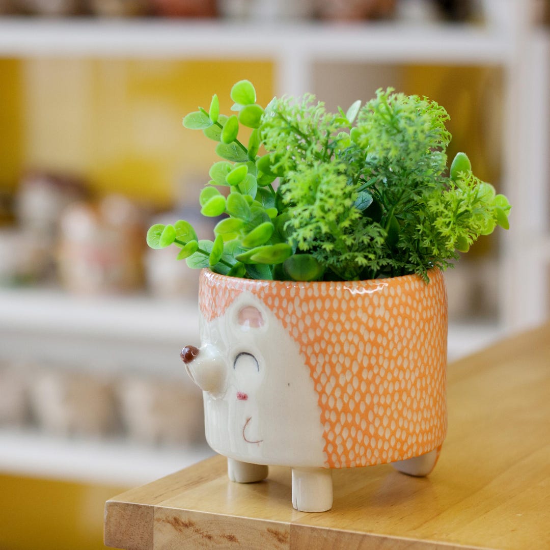 Cute Hedgehog Plant Pot,pottery,cactus Pot,animal Plant Pot,animal Cute ...