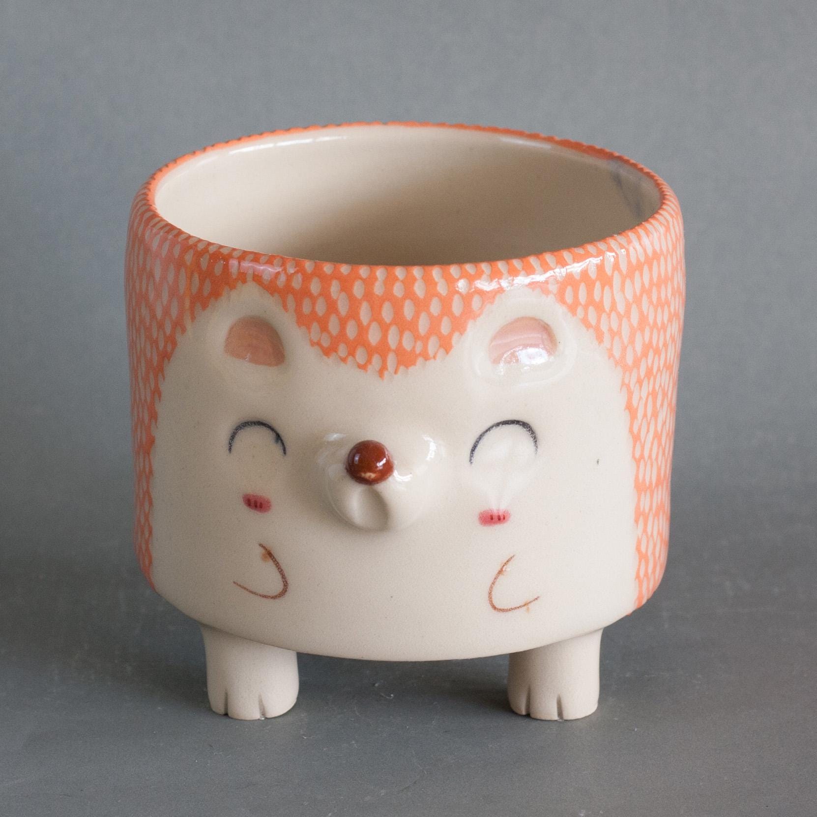 Cute Hedgehog Plant Pot,pottery,cactus Pot,animal Plant Pot,animal Cute ...