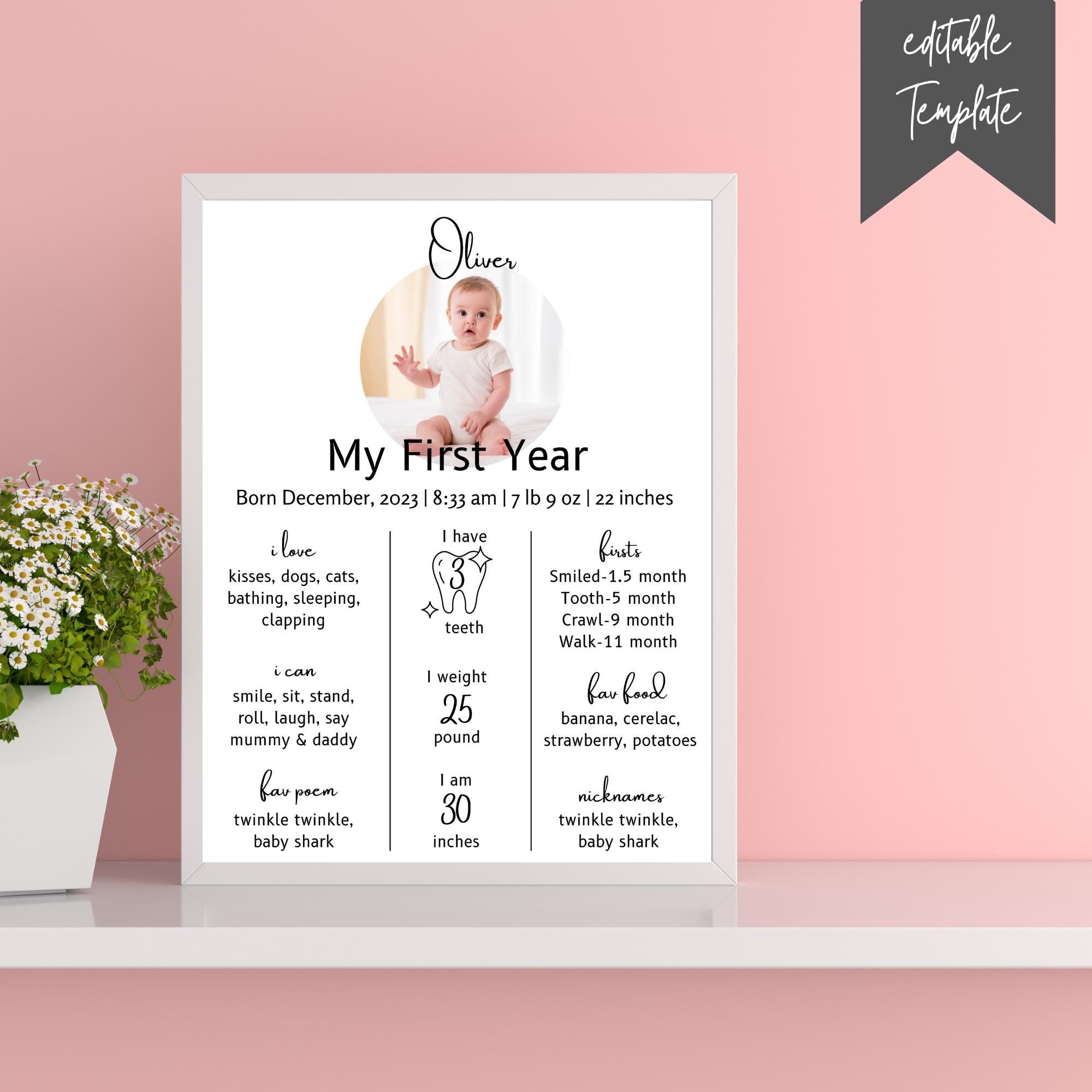 Editable Baby One Year Milestone Board, Printable First Birthday Poster ...
