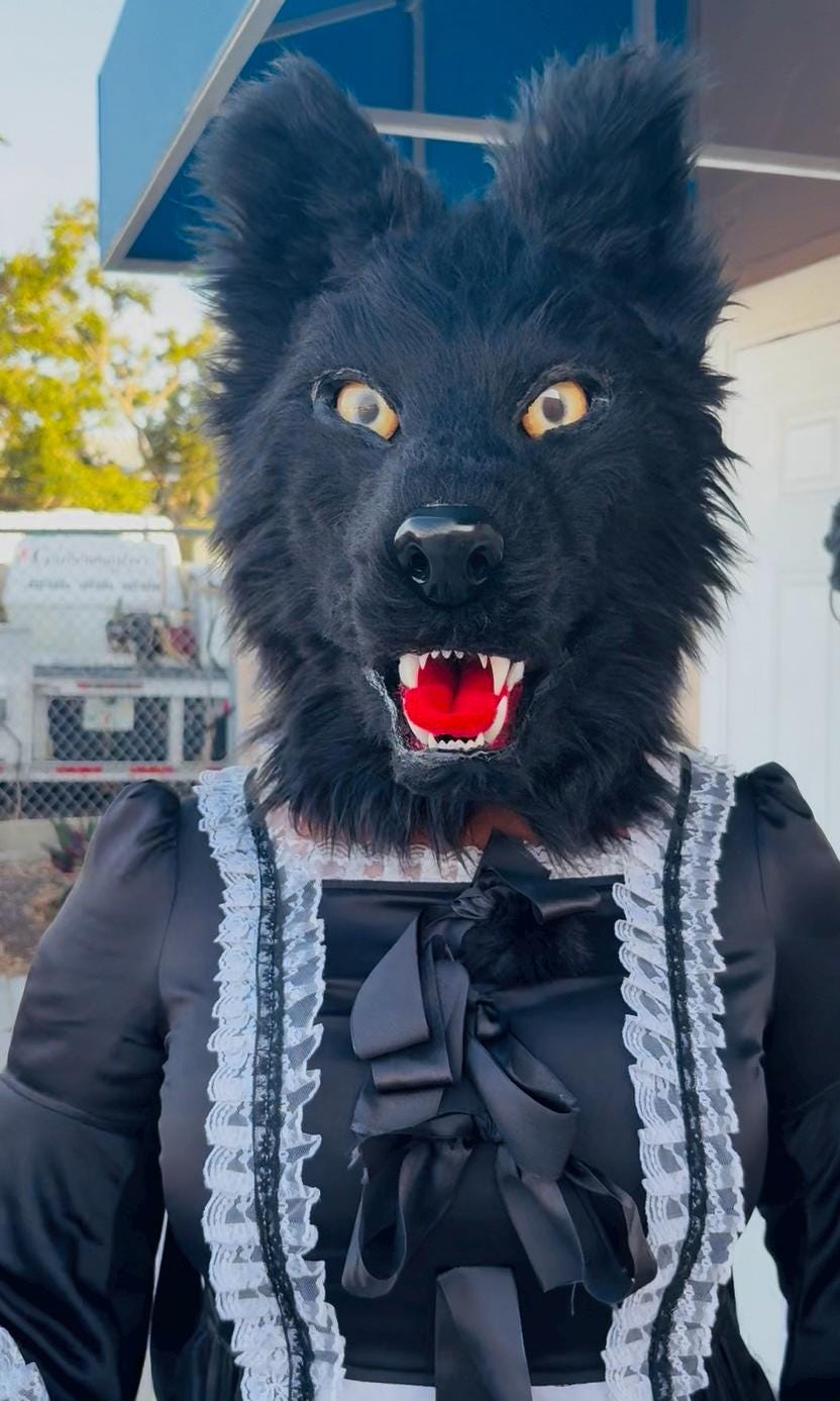 Semi-realistic Wolf Fursuit Head Commission - Etsy