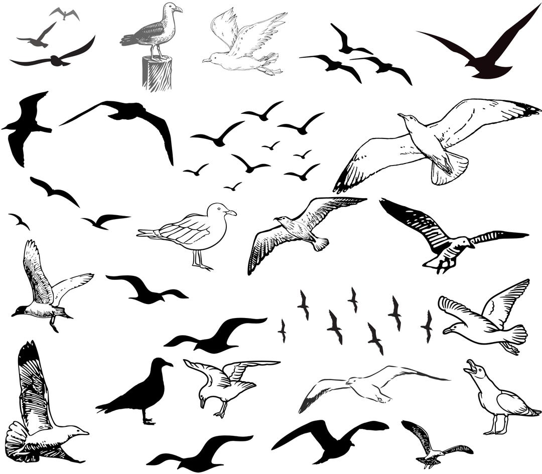 Seagull SVG Bundle, Flying Seagull Svg, Seagull Silhouette, Bird Svg ...