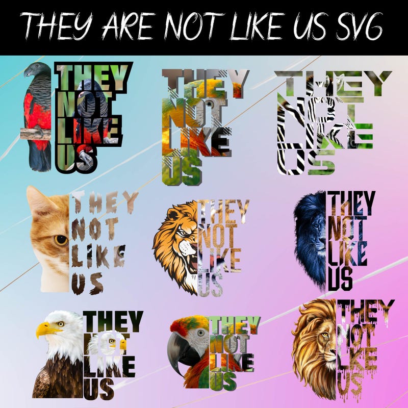 They Not Like Us Svg - Etsy