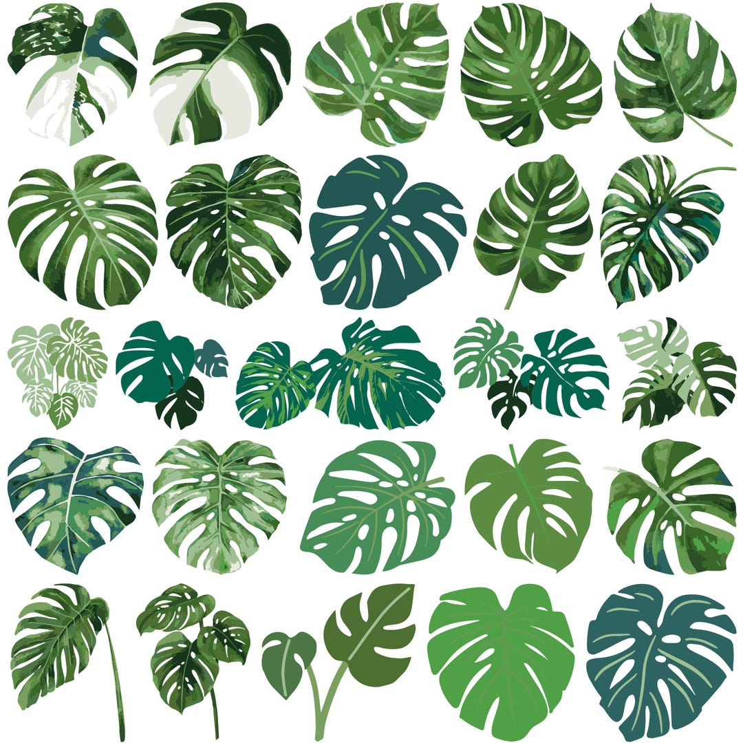 Monstera Leaf SVG Bundle, Tropical Leaves Svg, Monstera Leaf Svg ...