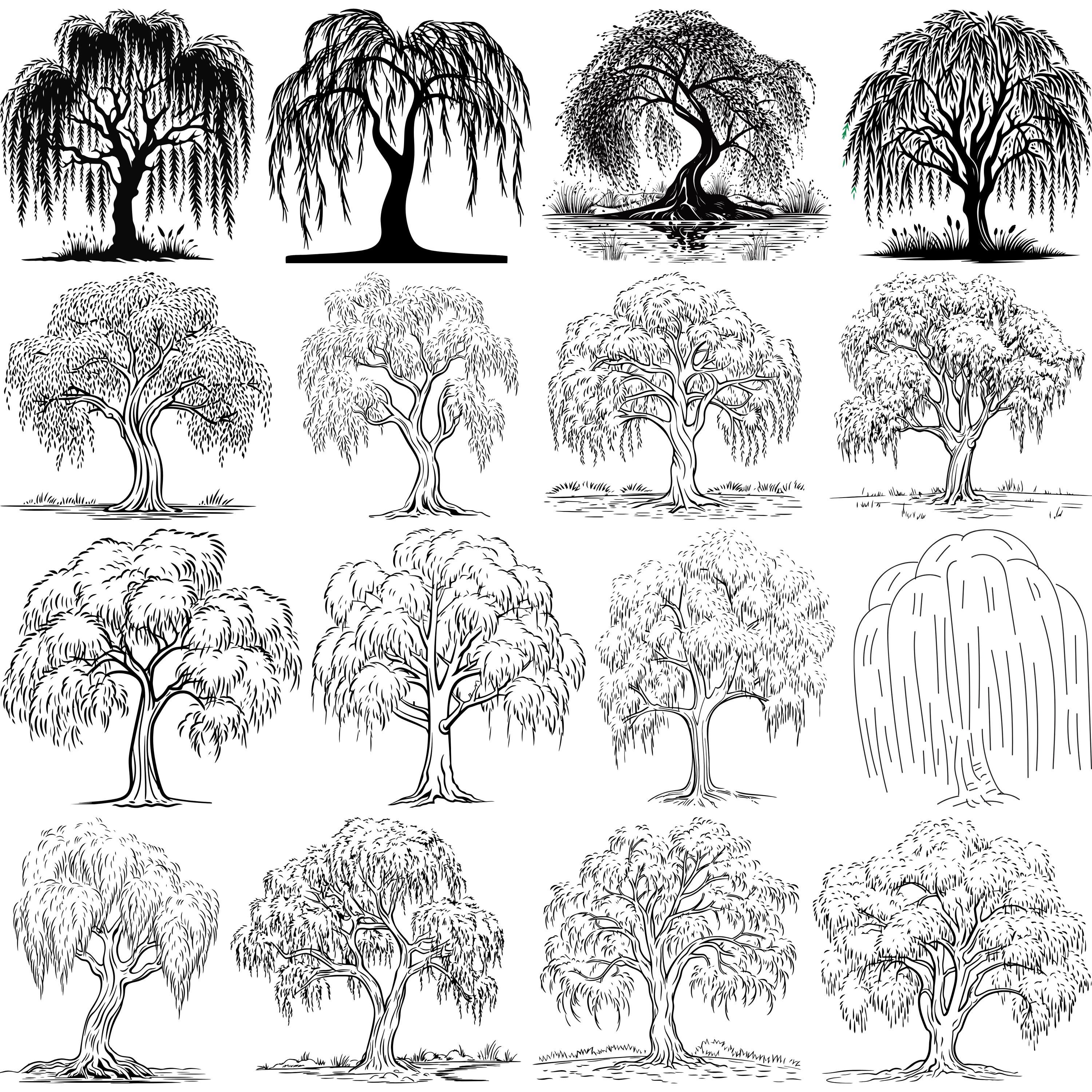 Willow Tree Svg Bundle, Willow Tree Png, Willow Tree Eps, Willow Tree ...