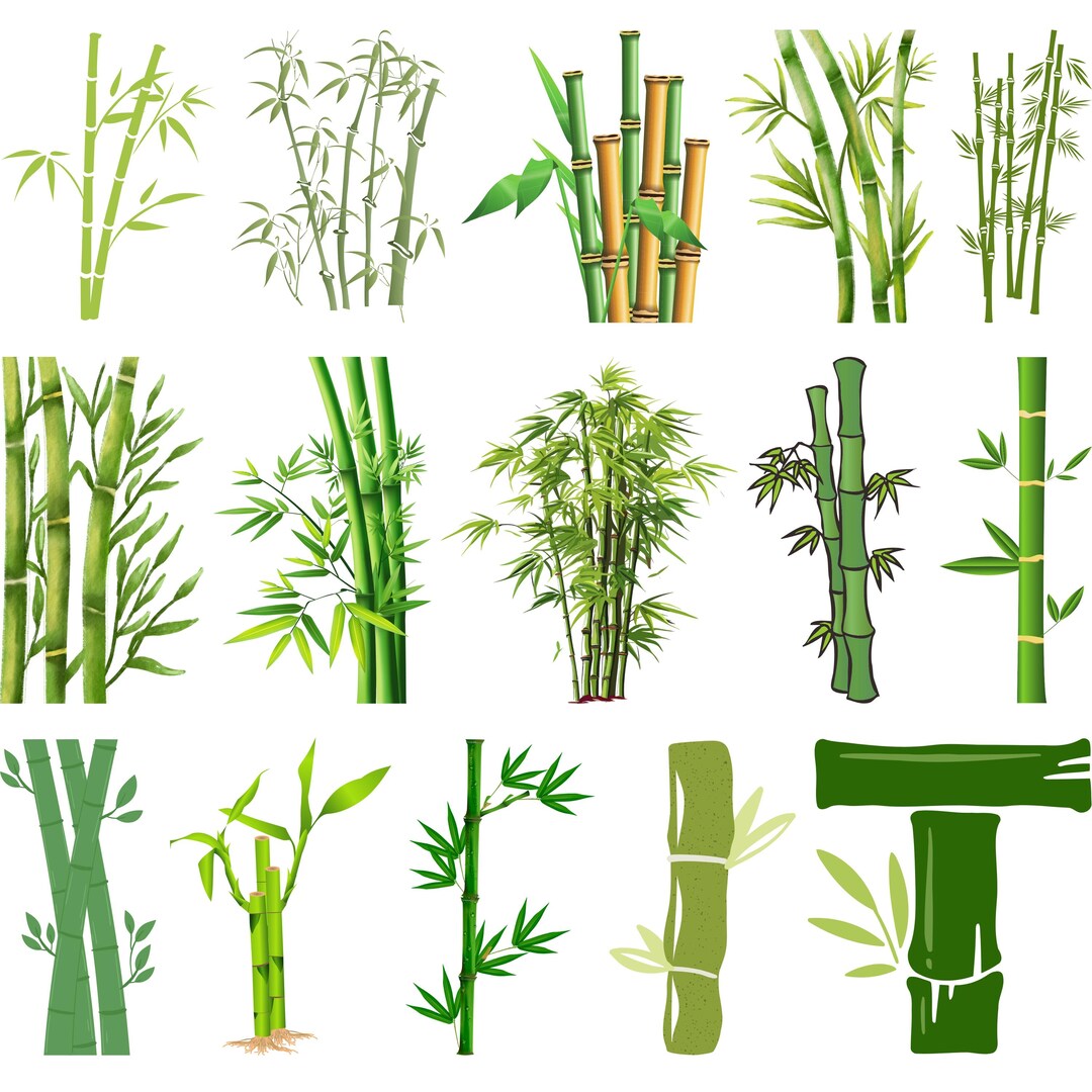 Bamboo SVG Bundle, Bamboo Silhouette, Bamboo Tree SVG, Bamboo Cut File ...