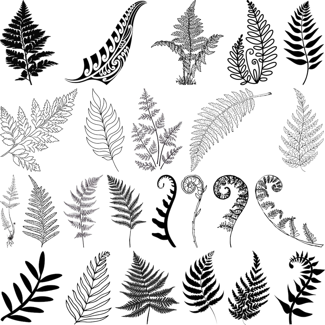 Fern Leaves Svg, Fern Clipart, Boho Svg, Botanical Silhouette, Fern ...