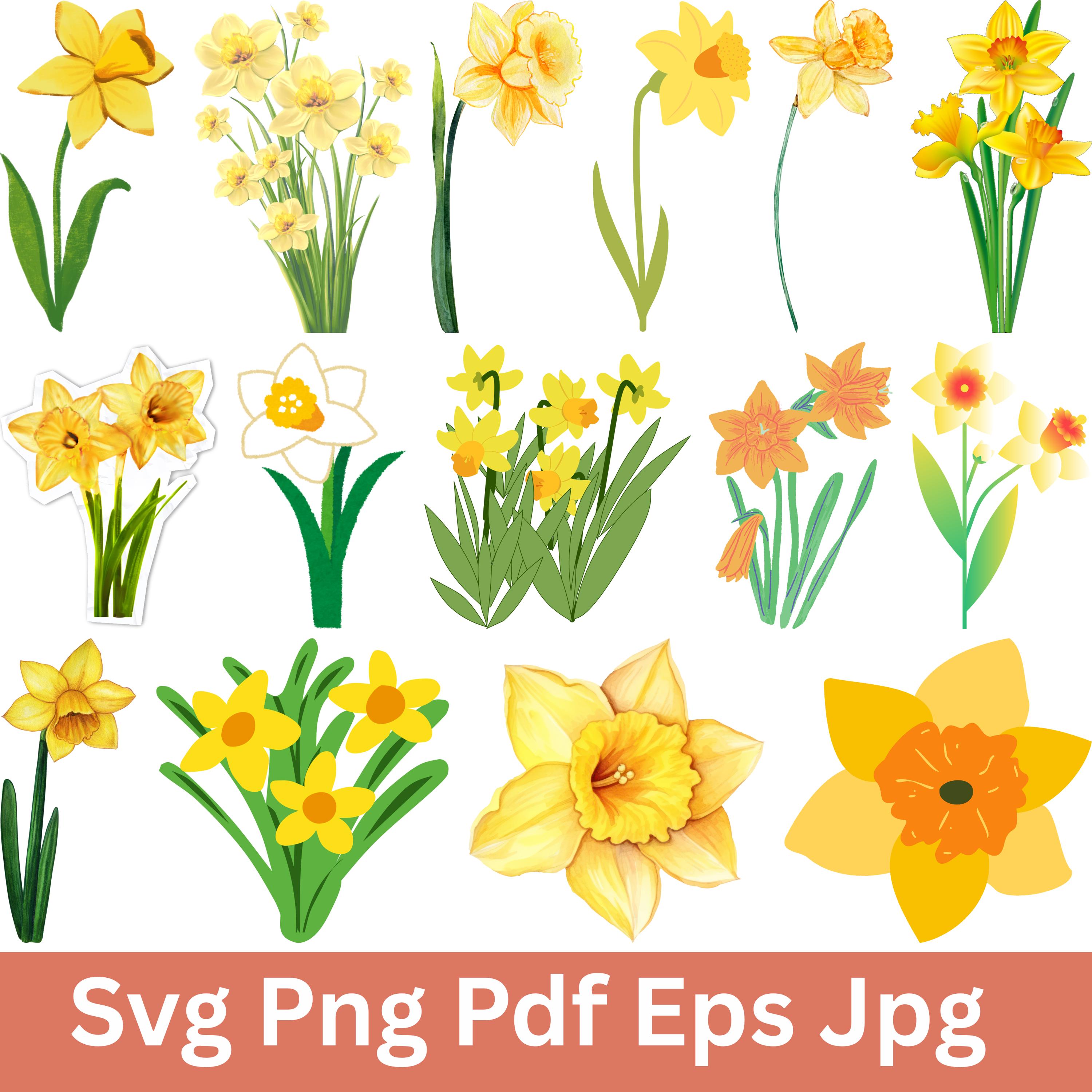 Daffodil Svg Bundle, Daffodil Silhouette, Daffodil Vector, Daffodil ...